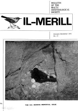 Il-Merill : BirdLife Malta