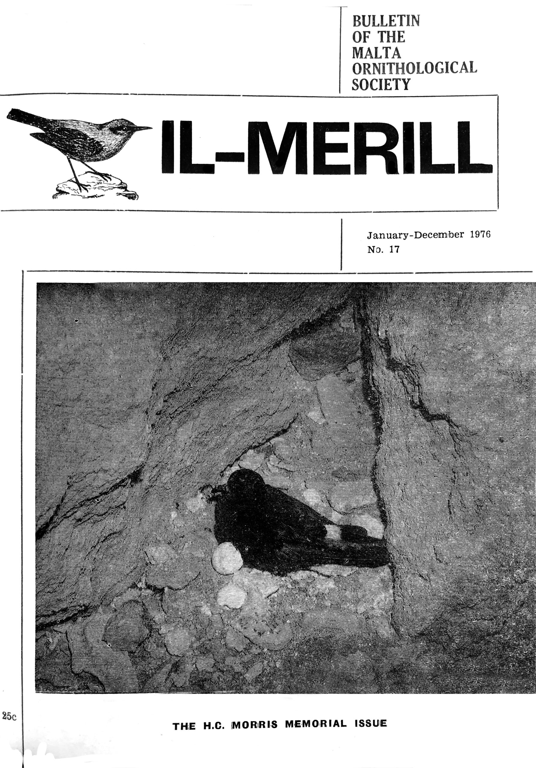 Il-Merill | BirdLife Malta